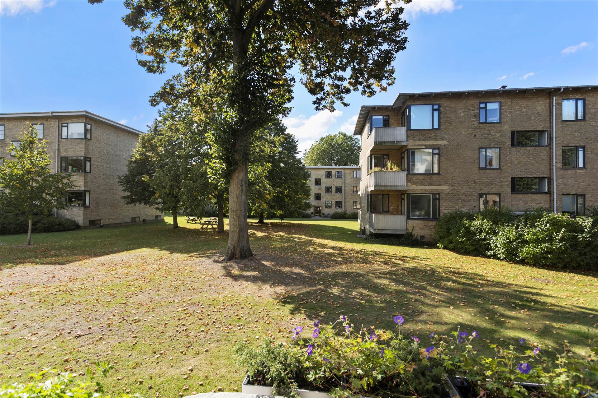 Ejerlejlighed til salg - Blidahpark 21, st. tv