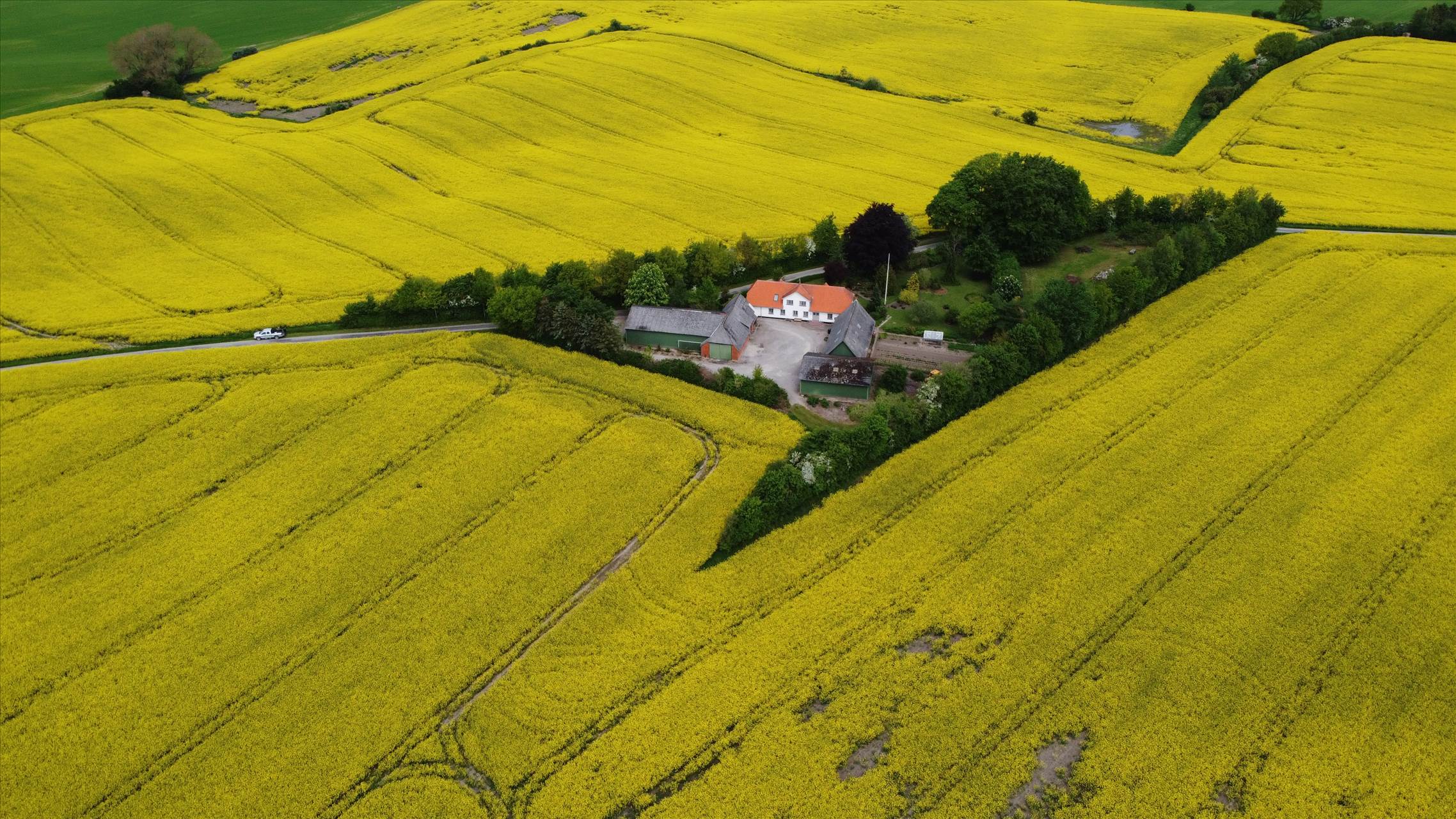 Villa til salg - Veflinge Skovvej 53